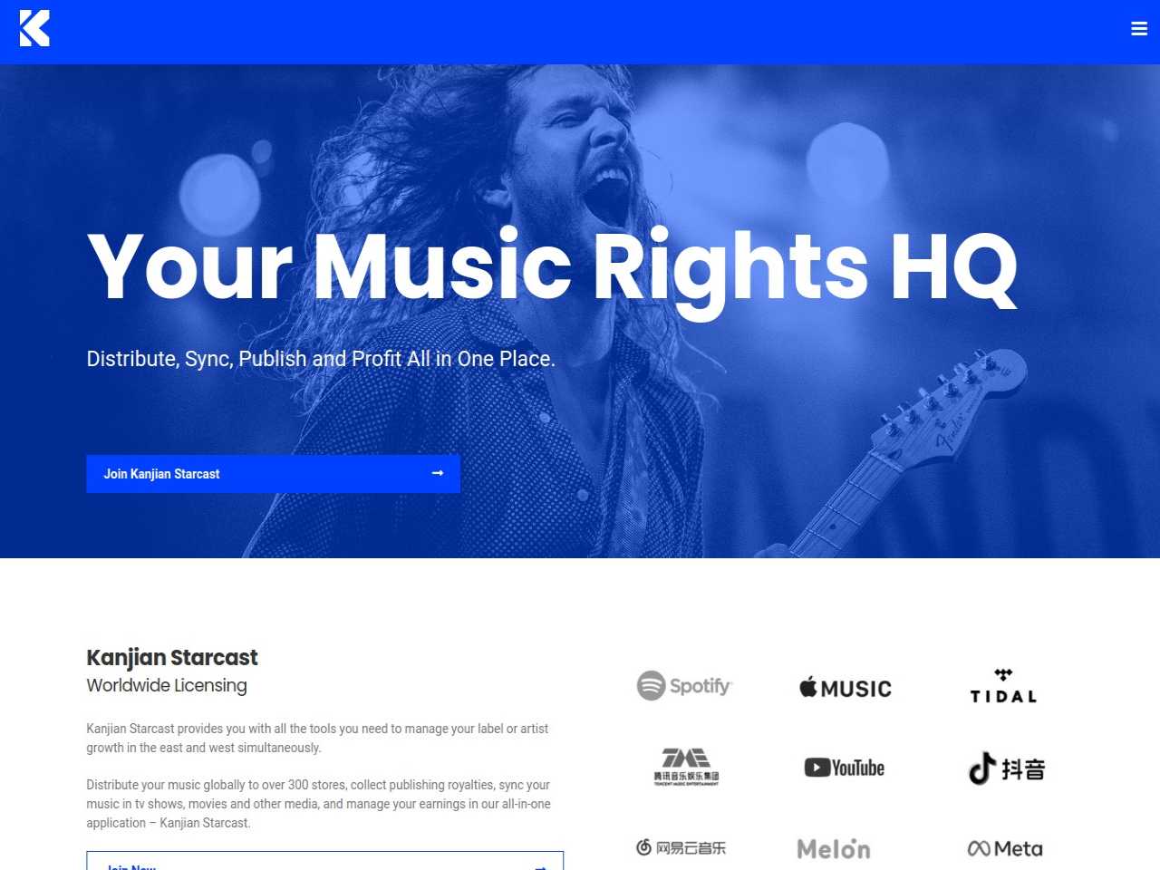 Bandcamp Artist Guide — Buzzsonic